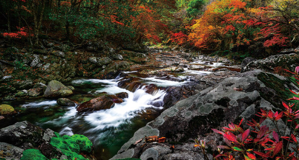 웰니스호텔 지리산 만추 단풍 트레킹